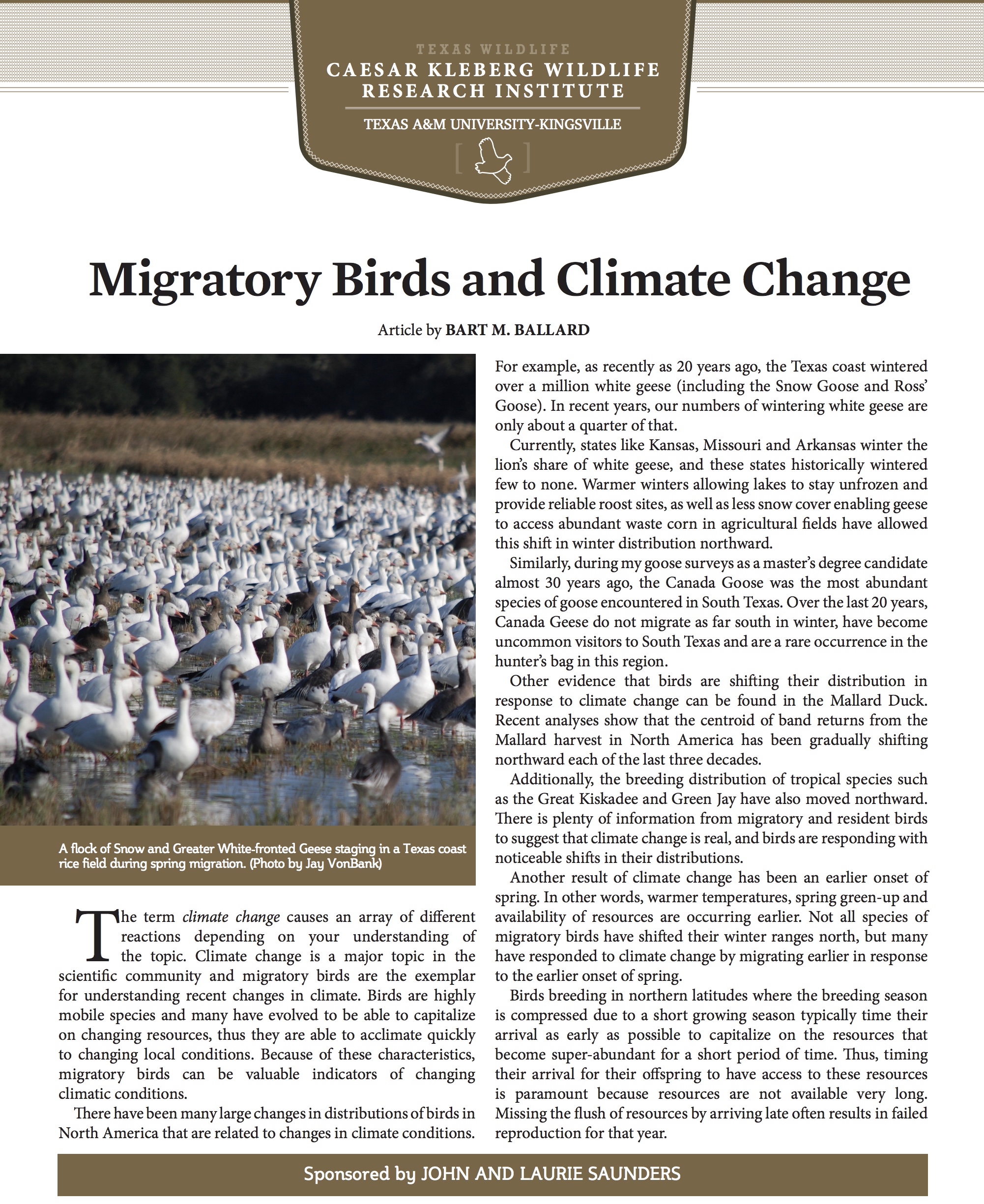 Migratory Birds and Climate Change | Caesar Kleberg Wildlife Research ...