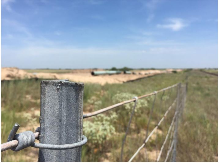 Natural gas pipeline route to become butterfly "pollinator pathway ...