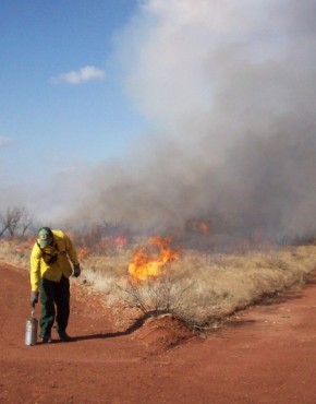 Fire Ecology | Caesar Kleberg Wildlife Research Institute